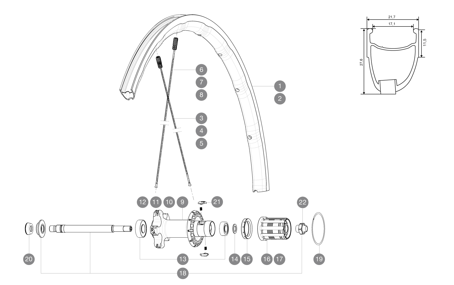 How to remove freehub? : r/bikewrench